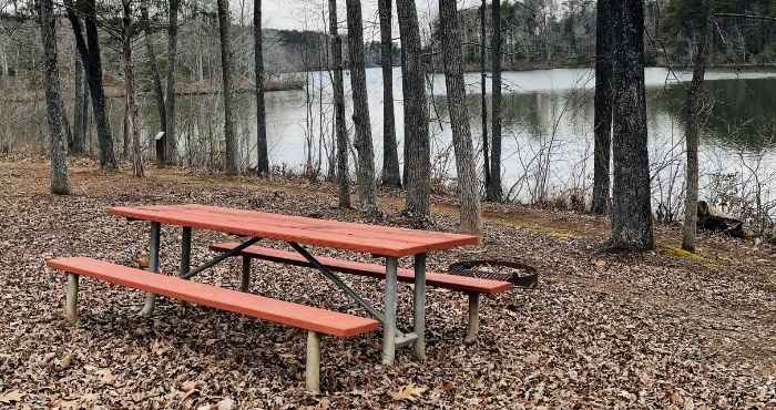 Everything You Need to Know About: Mayo Lake Park | Uptown Roxboro, NC ...