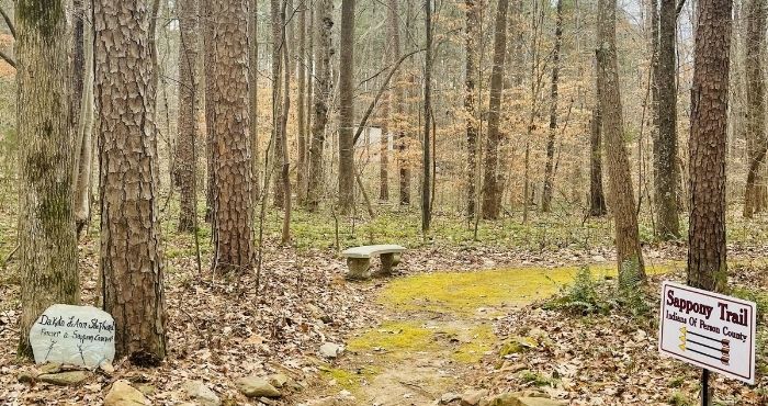 Everything You Need to Know About: Mayo Lake Park | Uptown Roxboro, NC ...